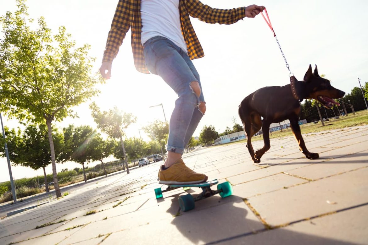 7 outdoor activities to do with your dog in Summer