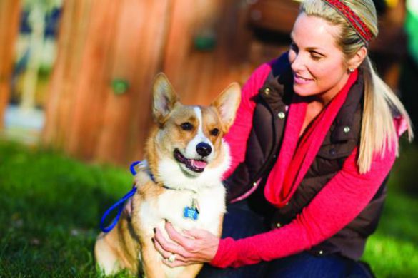 Why You Should Meet and Greet Your Mad Paws Sitter | Mad Paws Blog