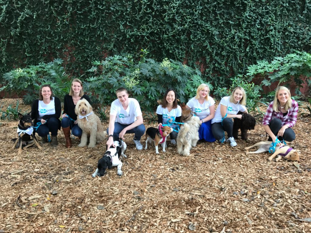 Meet The Mad Paws Pack | Mad Paws Blog