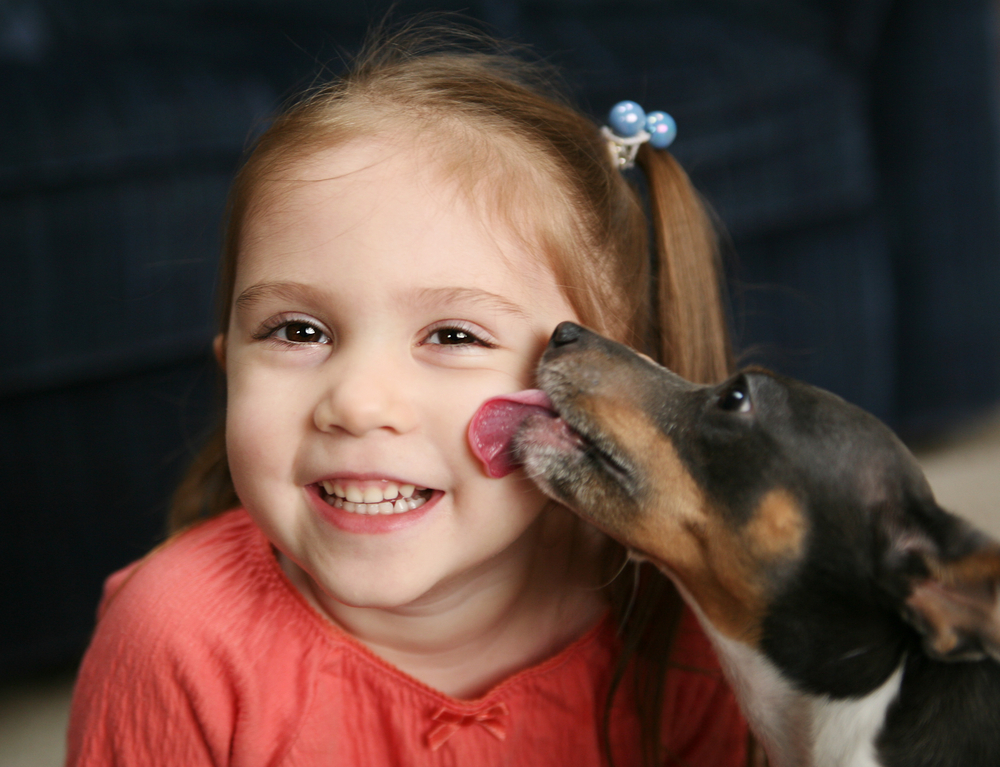Activities For Pets And Kids | Mad Paws Blog