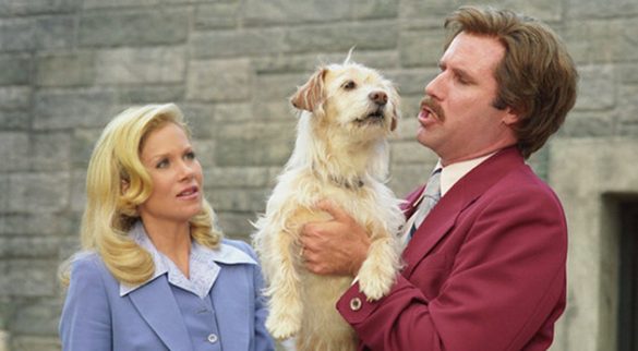 Top 10 Movie Dogs | Mad Paws Blog