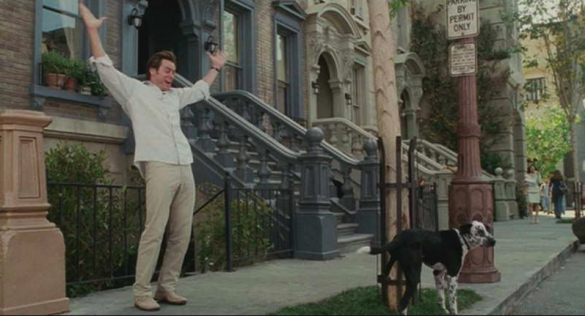 Top 10 Movie Dogs | Mad Paws Blog
