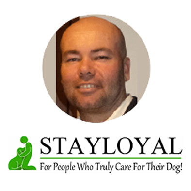Stay Loyal Guest Post: Natural vs Organic vs Holistic Dog Food - Mad Paws