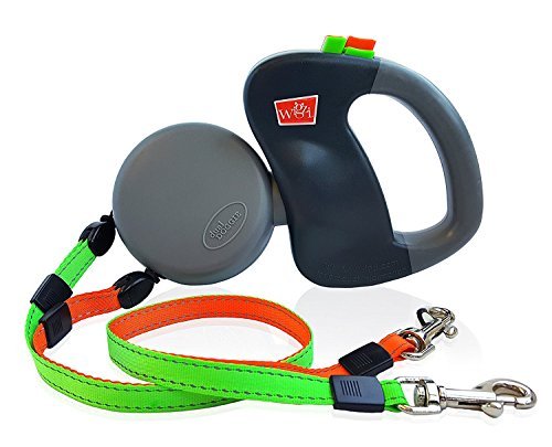Walking Gadgets | Mad Paws Blog