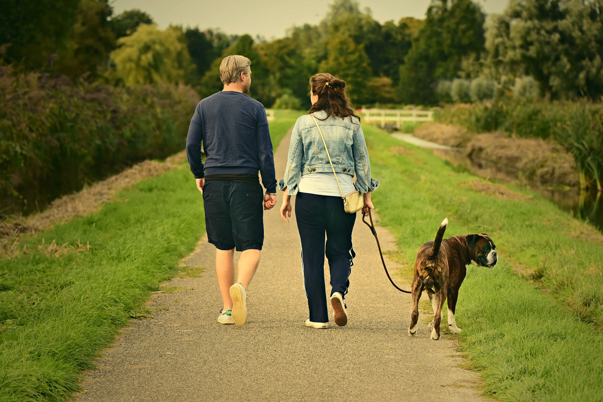 How Much Do You Need To Walk Your Dog Mad Paws Blog How Much Do You Need To Walk Your Dog Mad Paws Blog
