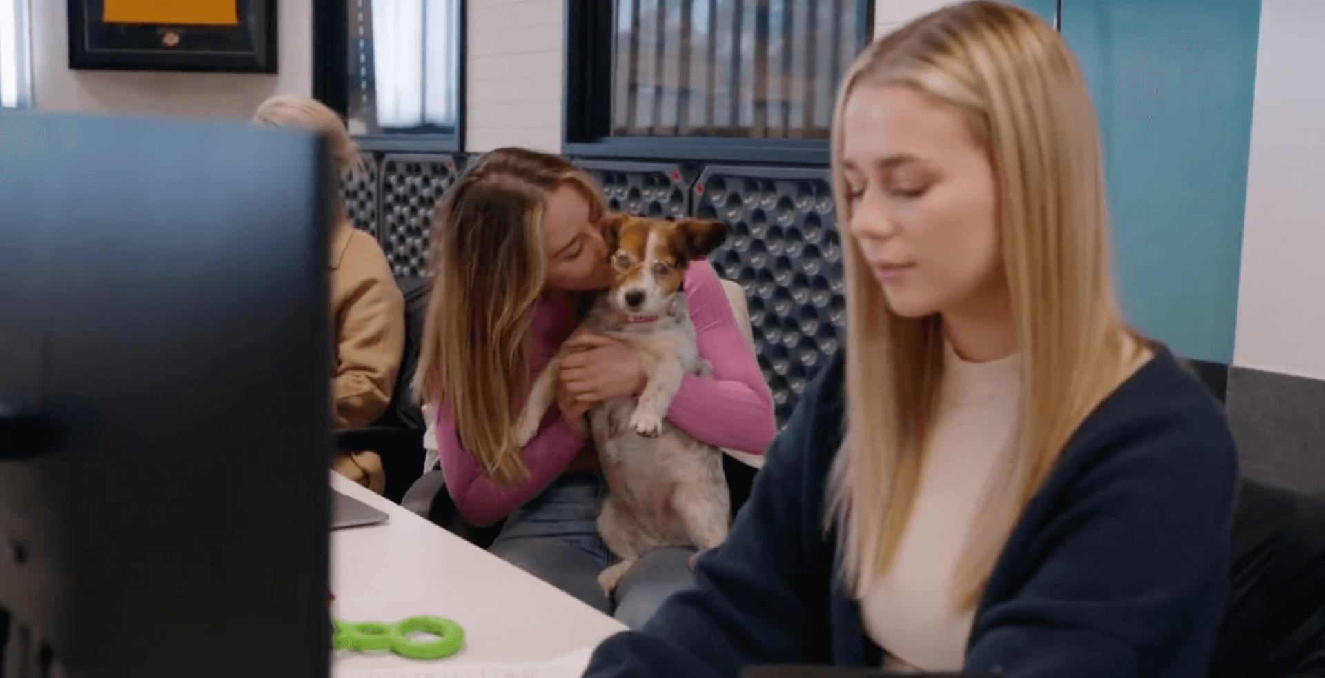 Why dogs in the workplace benefits everyone