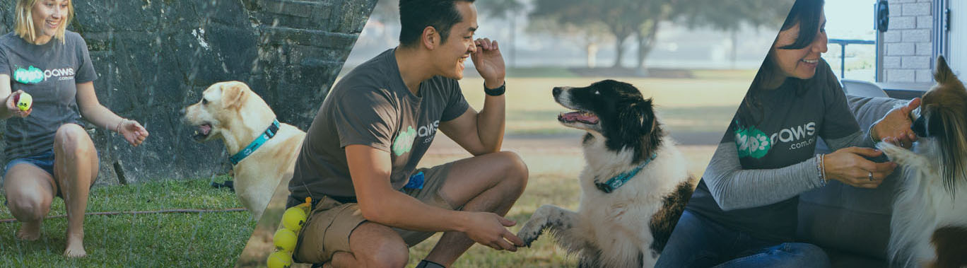 Dog Minder - Casual, Part time, or Full time - Mad Paws