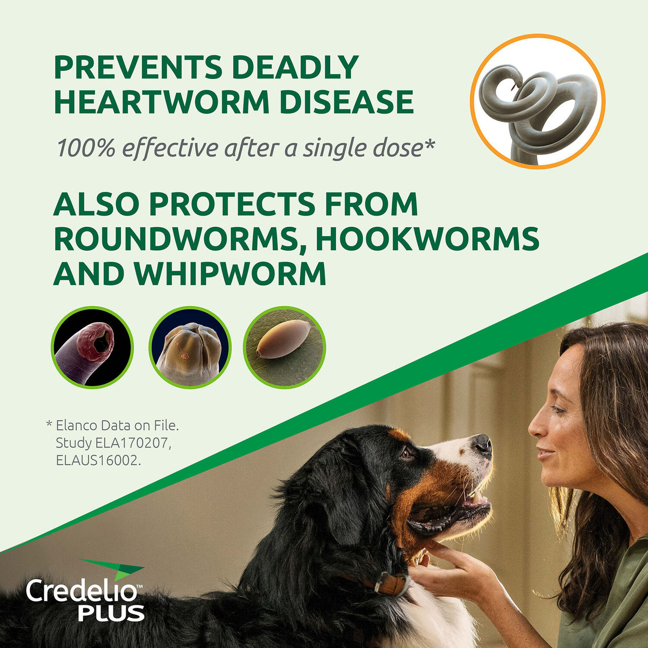 When is flea tick and worm prevention for dogs required?