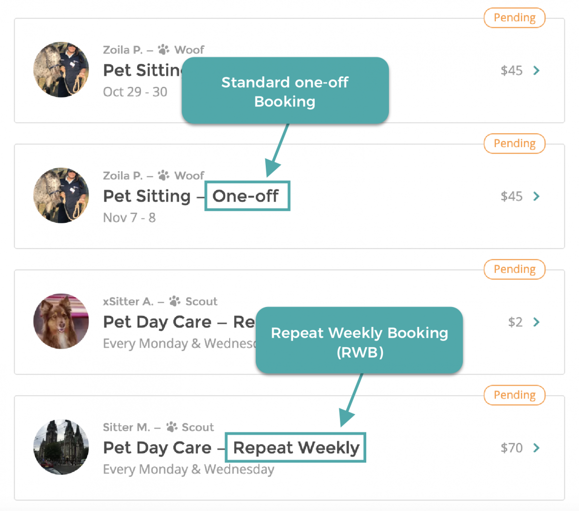 Repeat Weekly Bookings: How They Work for Pet Sitters | Mad Paws Blog