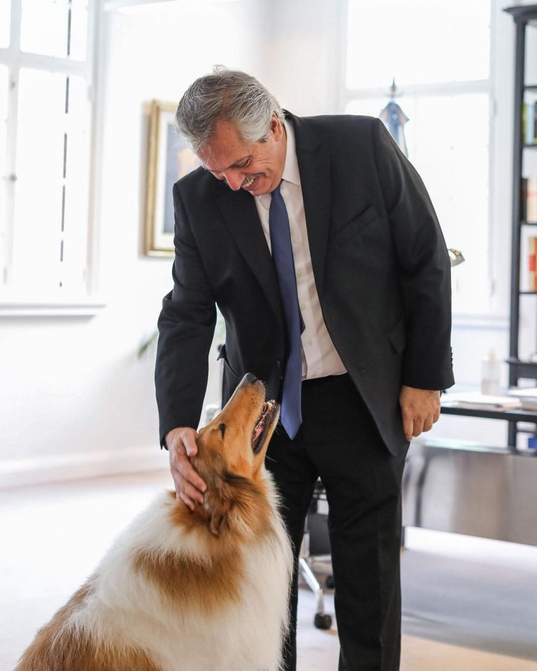 6 of the World's Most Famous Dogs | Mad Paws Blog