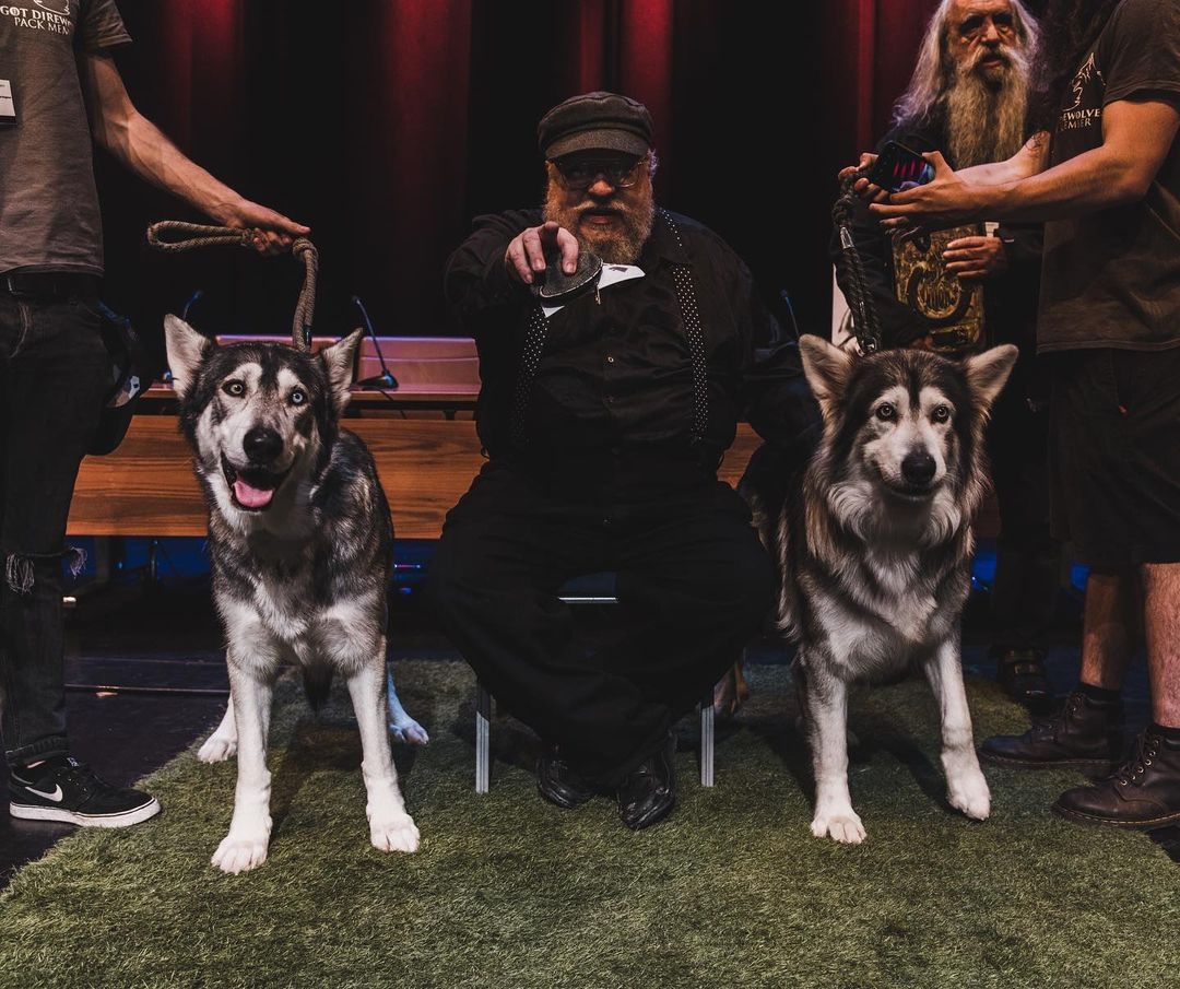 6 of the World's Most Famous Dogs | Mad Paws Blog