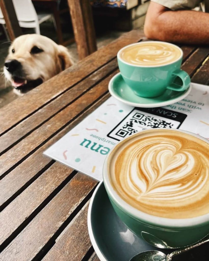 Best dog friendly cafes | Melbourne, Sydney, Brisbane, Gold Coast