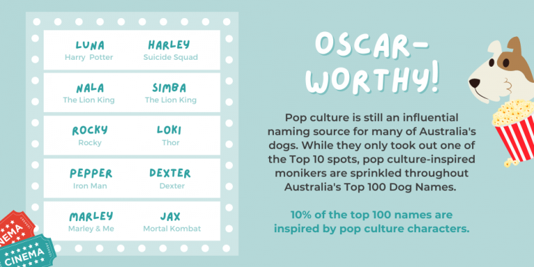 Top Dog Names and Most Popular Breeds | Mad Paws