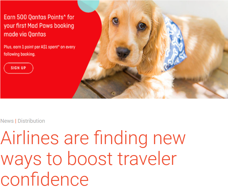 Mad Paws Press and Media Appearances | Mad Paws