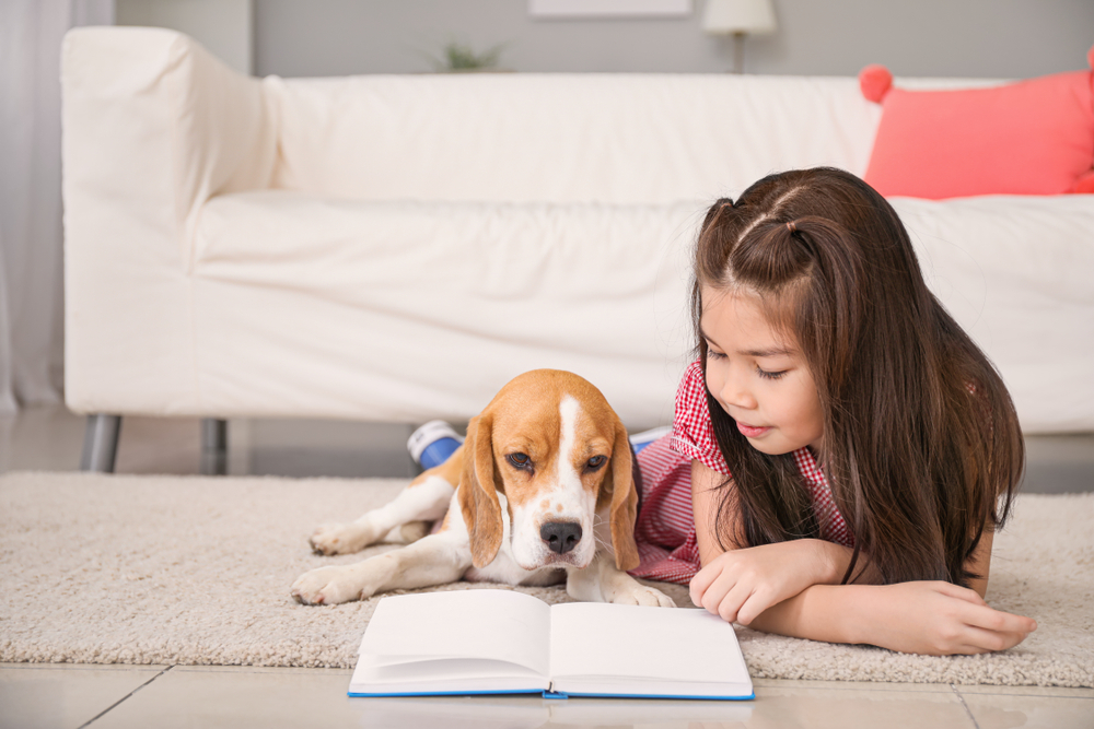 Best Dog Breeds for Children | Breed Information | Mad Paws Blog