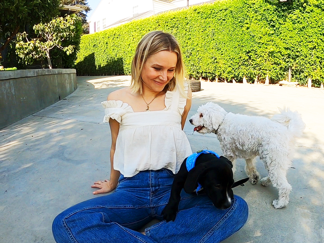 7 Famous Dogs You Need To Know | Mad Paws Blog