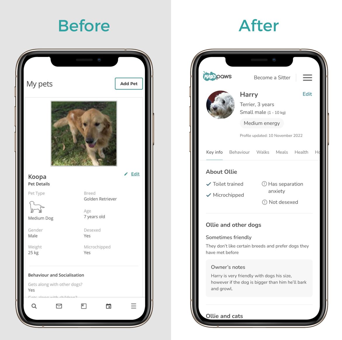 Complete your Pet's Profile for best Pet Sitter care | Mad Paws