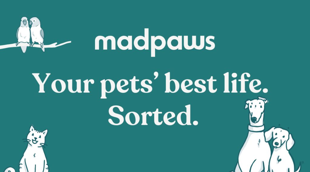 Launching Mad Paws' brand new look!