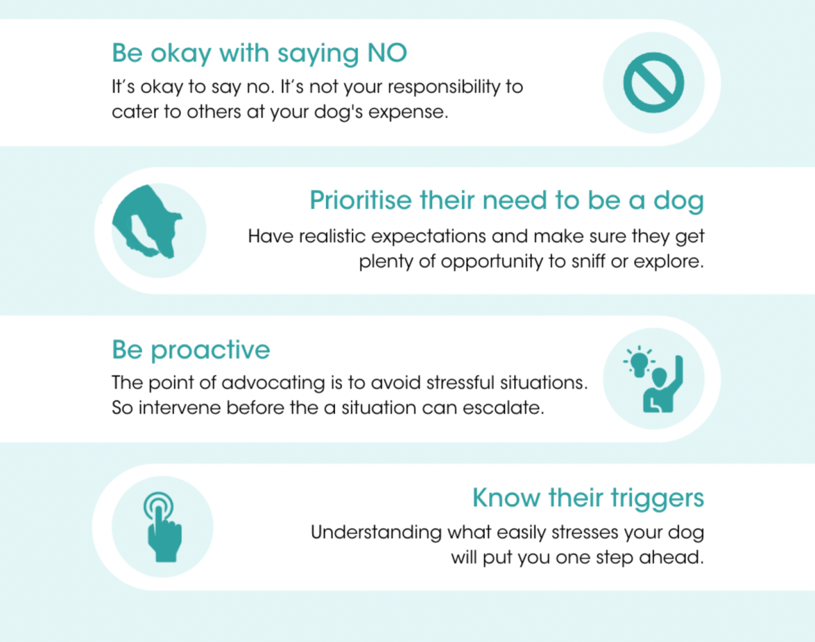 How well do you know your pet?