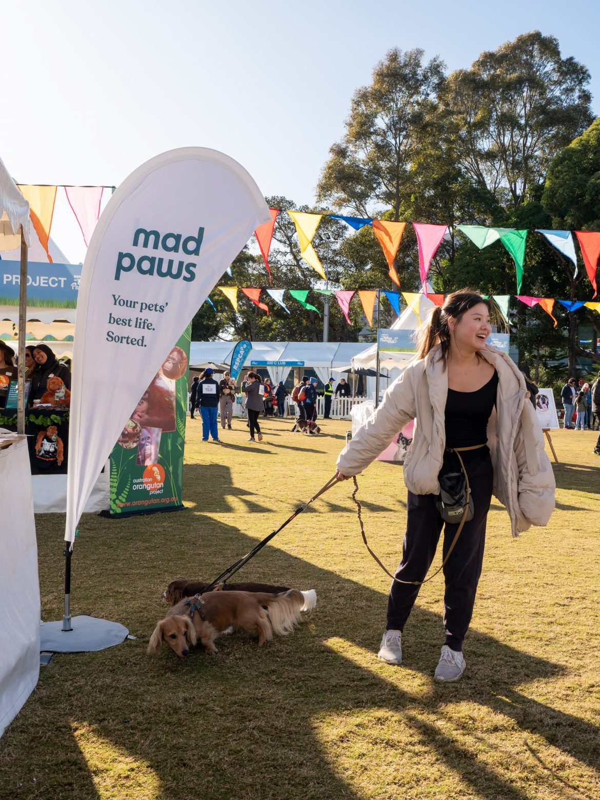 RSCPA Million Paws Walk