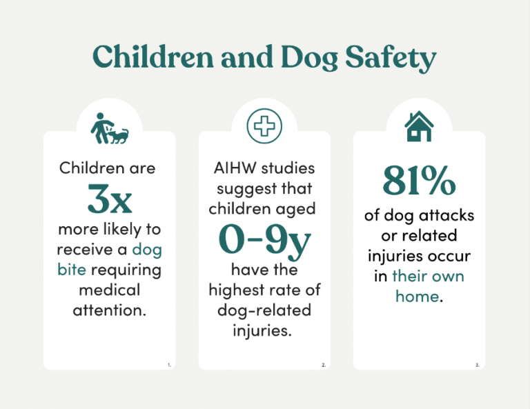 Managing the safety of children and dogs - Mad Paws