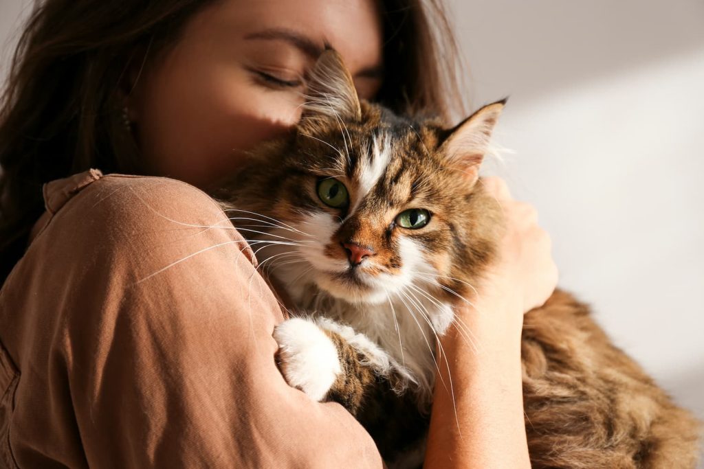 Understanding your cat's body language