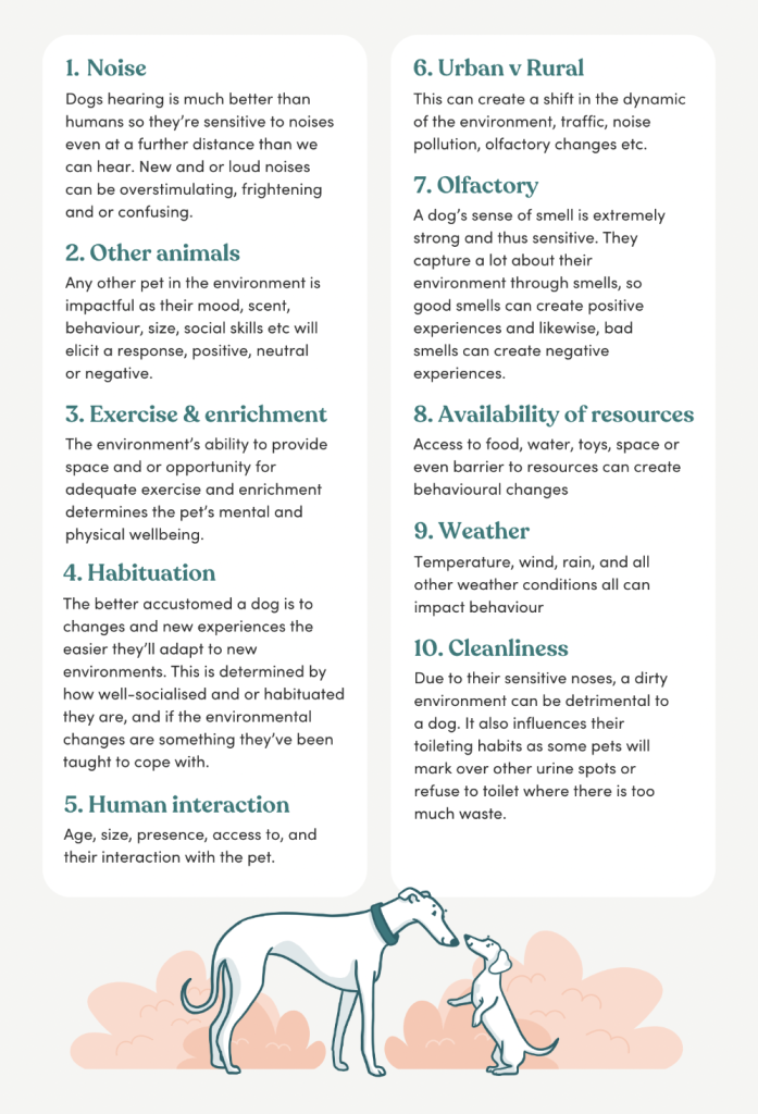 How environment impacts a pet's behaviour