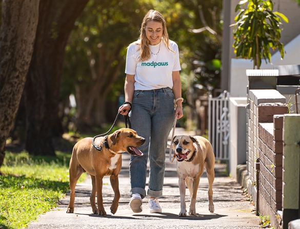 Mad Paws Blog | Information for Pet Owners & Pet Sitters | madpaws.com ...