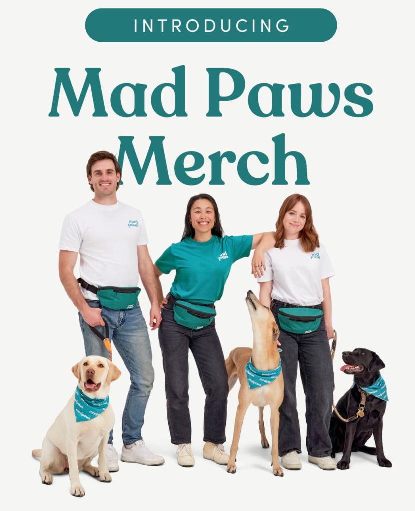 Sit. Stay. Slay. In NEW Mad Paws merch!