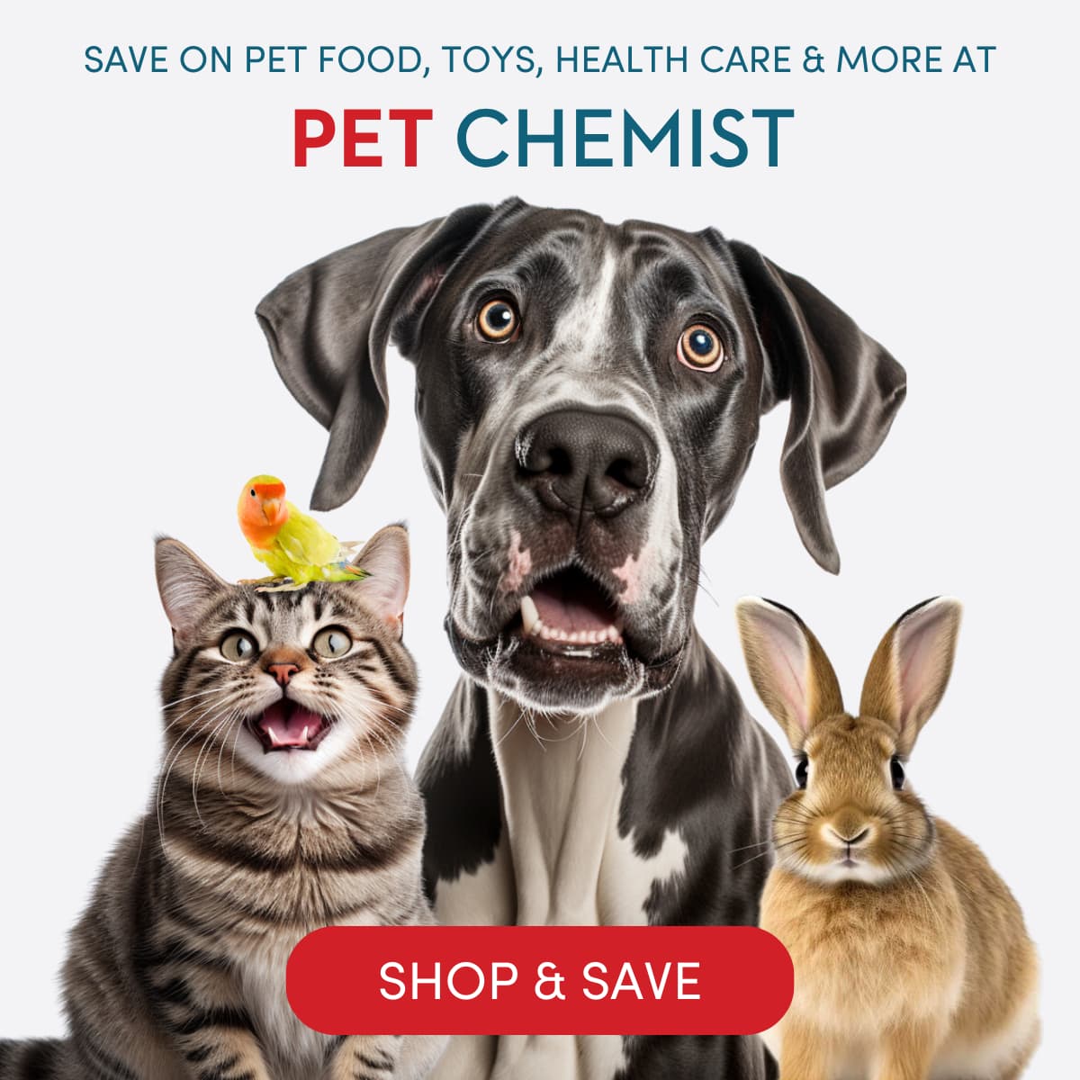 Mad Paws Blog | Information for Pet Owners & Pet Sitters | madpaws.com ...