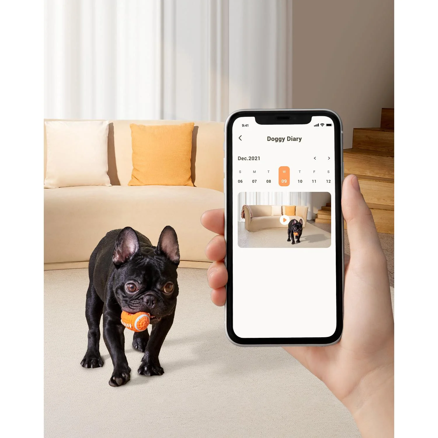 The rise of technology for pets