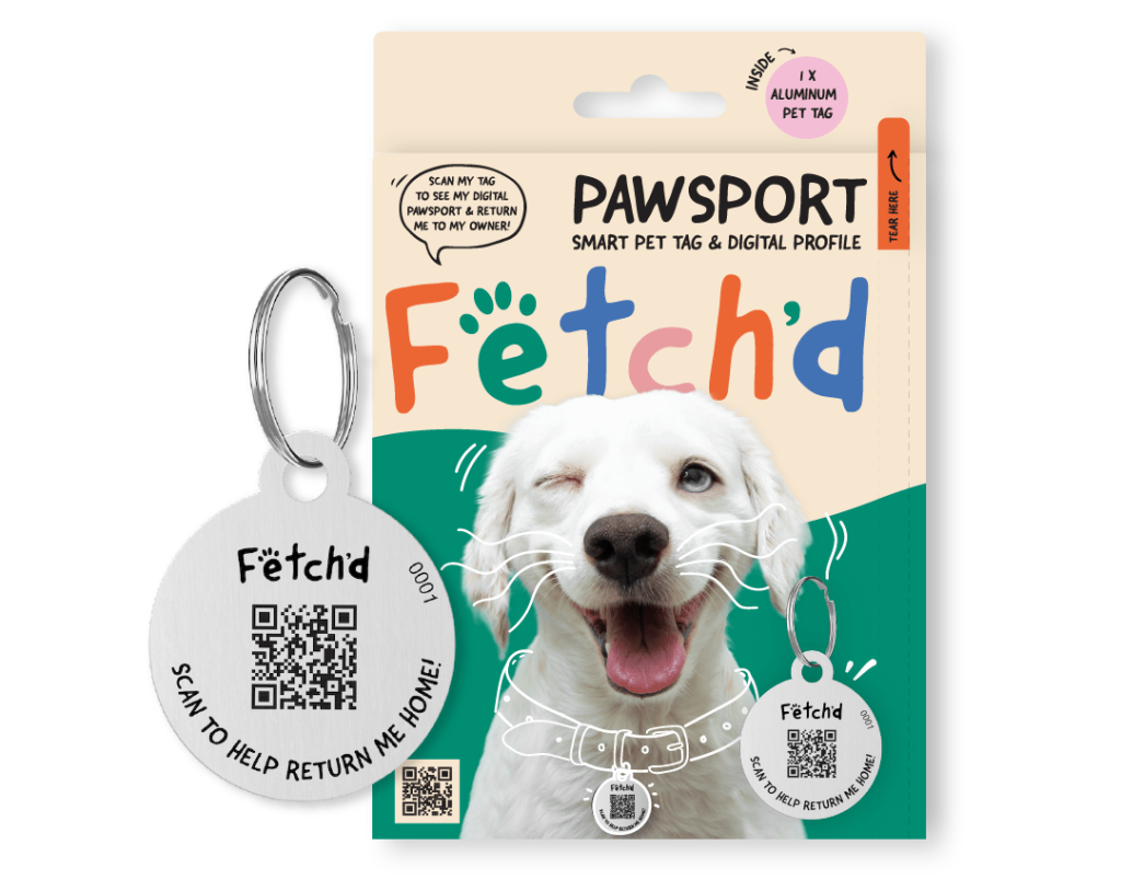 3 ways to ensure your pet has proper ID