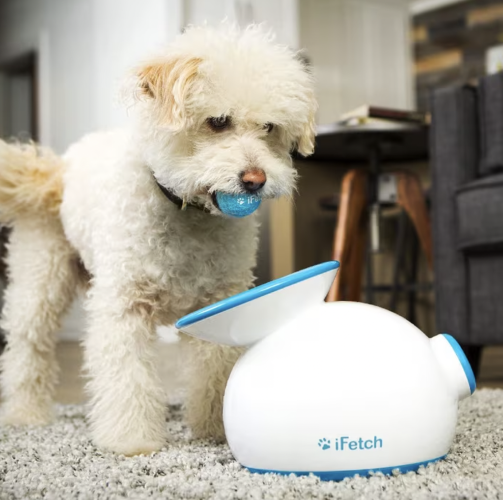The rise of technology for pets