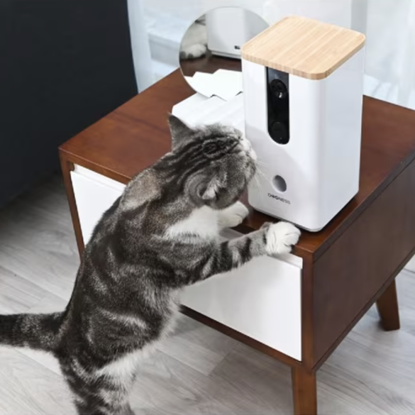 The rise of technology for pets