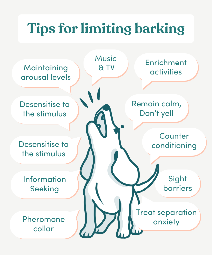 Why do dogs bark? And how to control their barking