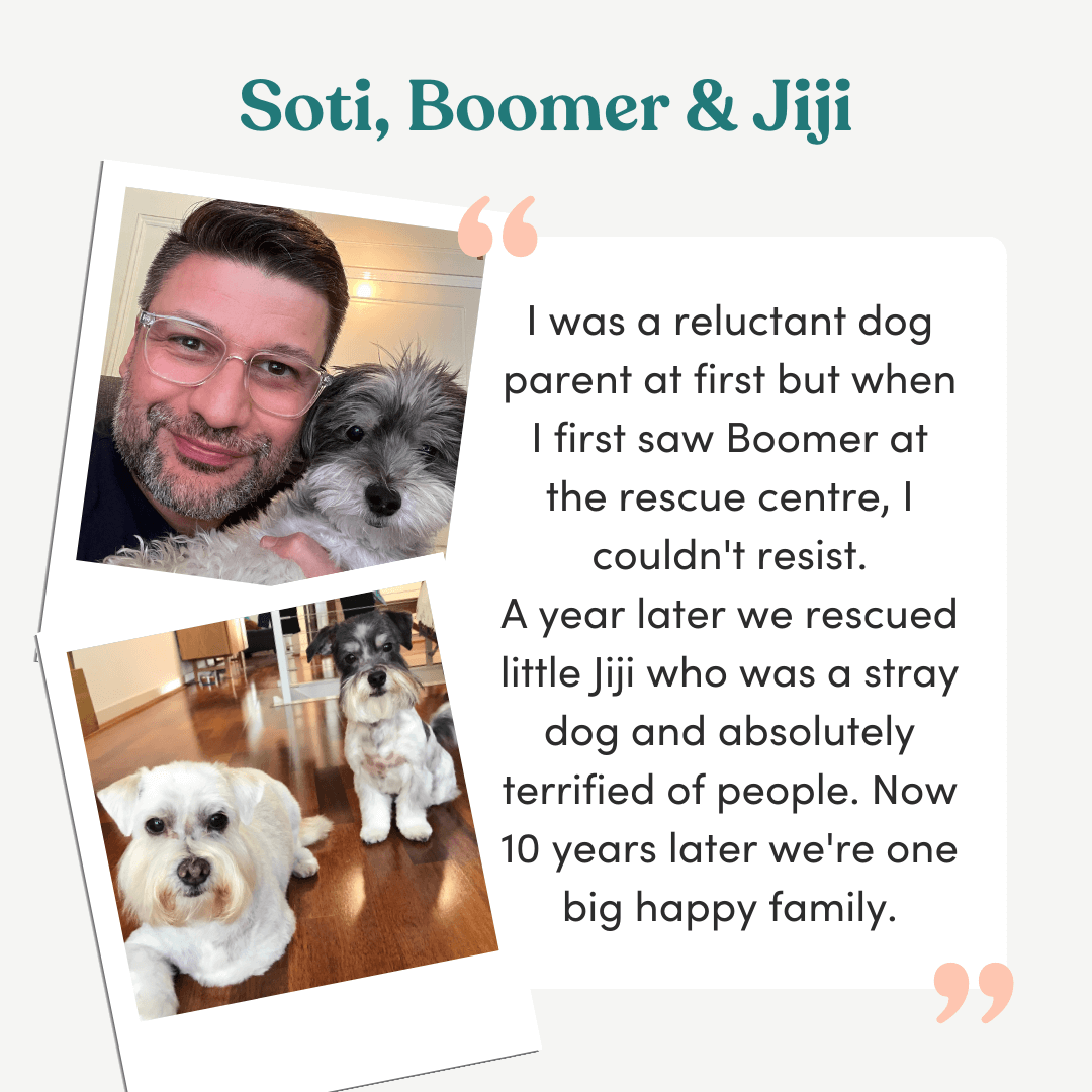 Pet adoption stories that'll melt your heart