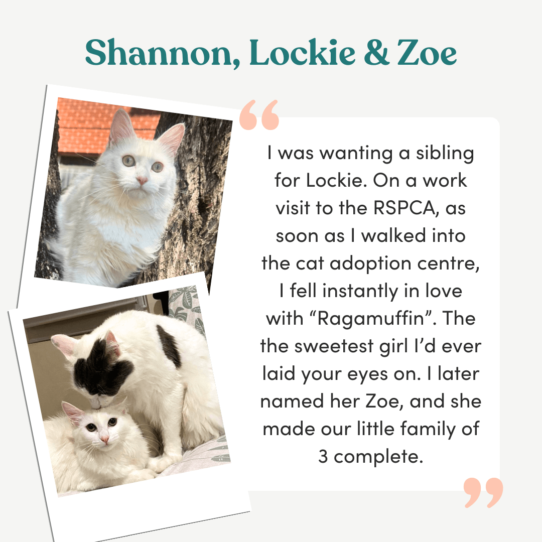 Pet adoption stories that'll melt your heart