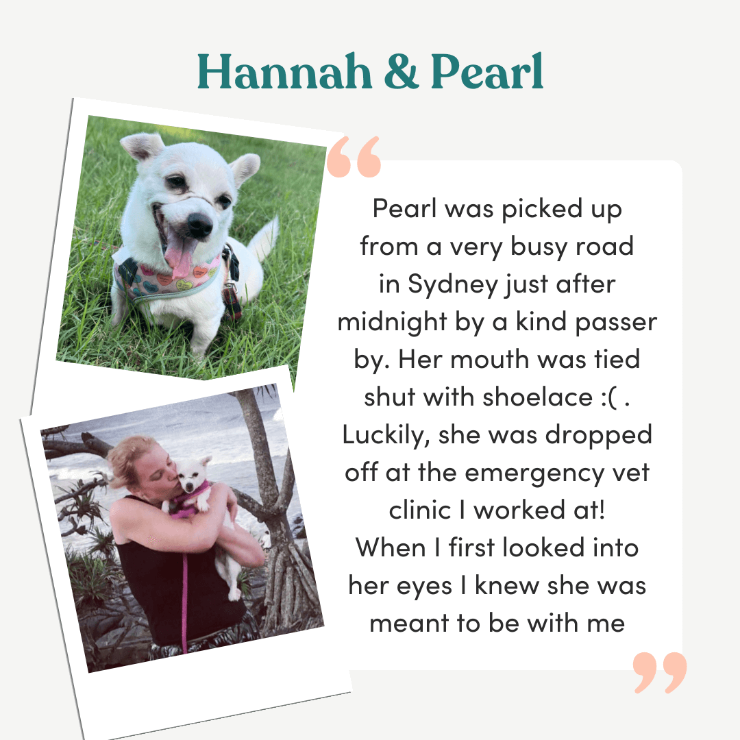 Pet adoption stories that'll melt your heart