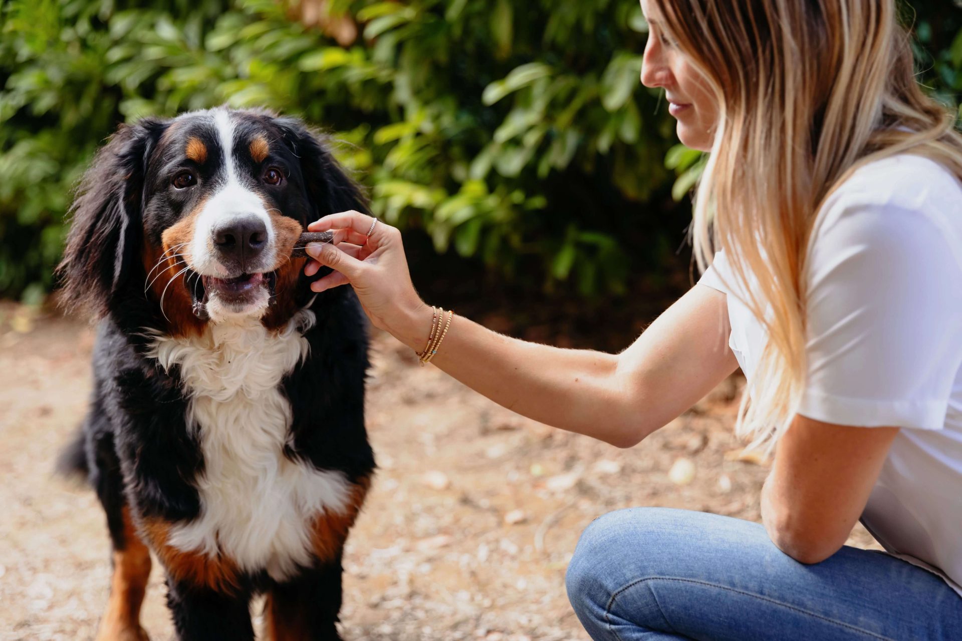 5 ways to tackle dog teeth cleaning